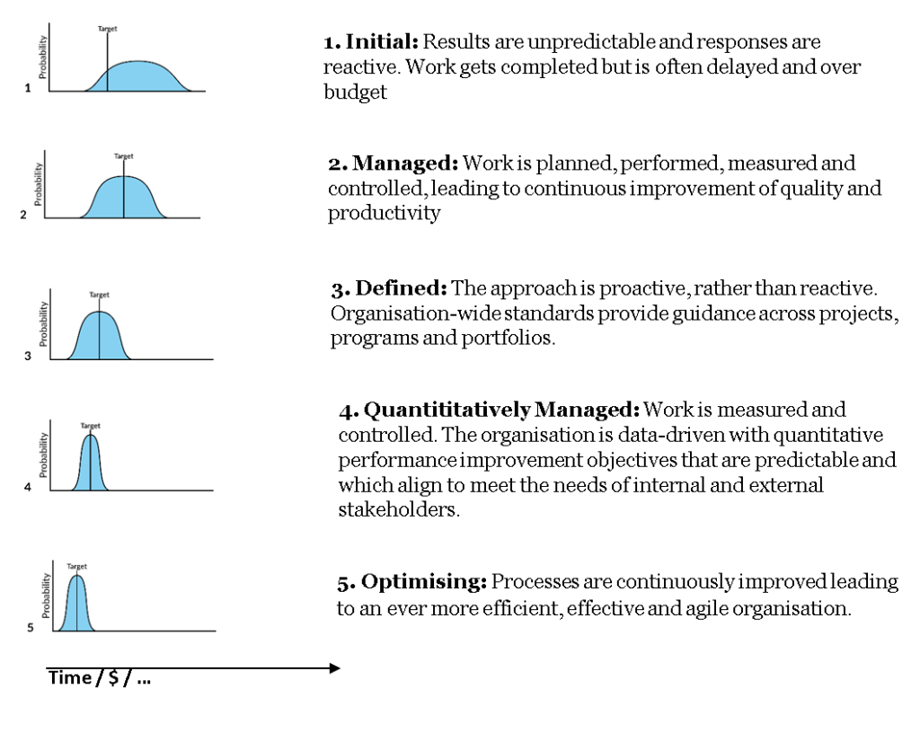 Capability Maturity - Ensemble